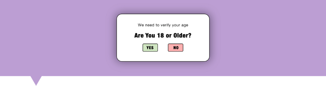 Age verification in a digital world | Fraud.com